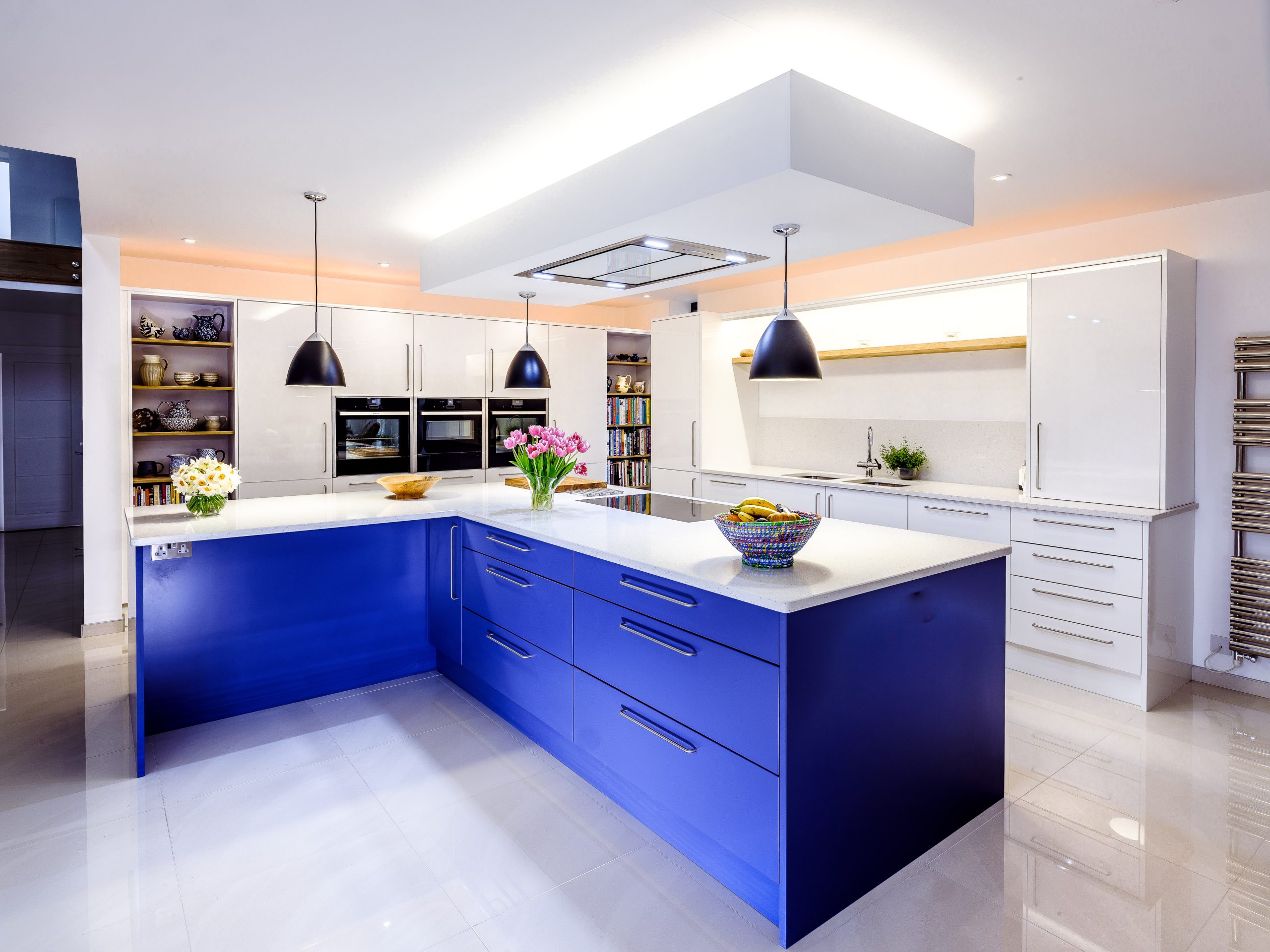 Contemporary Kitchen | Terence Ball Kitchens